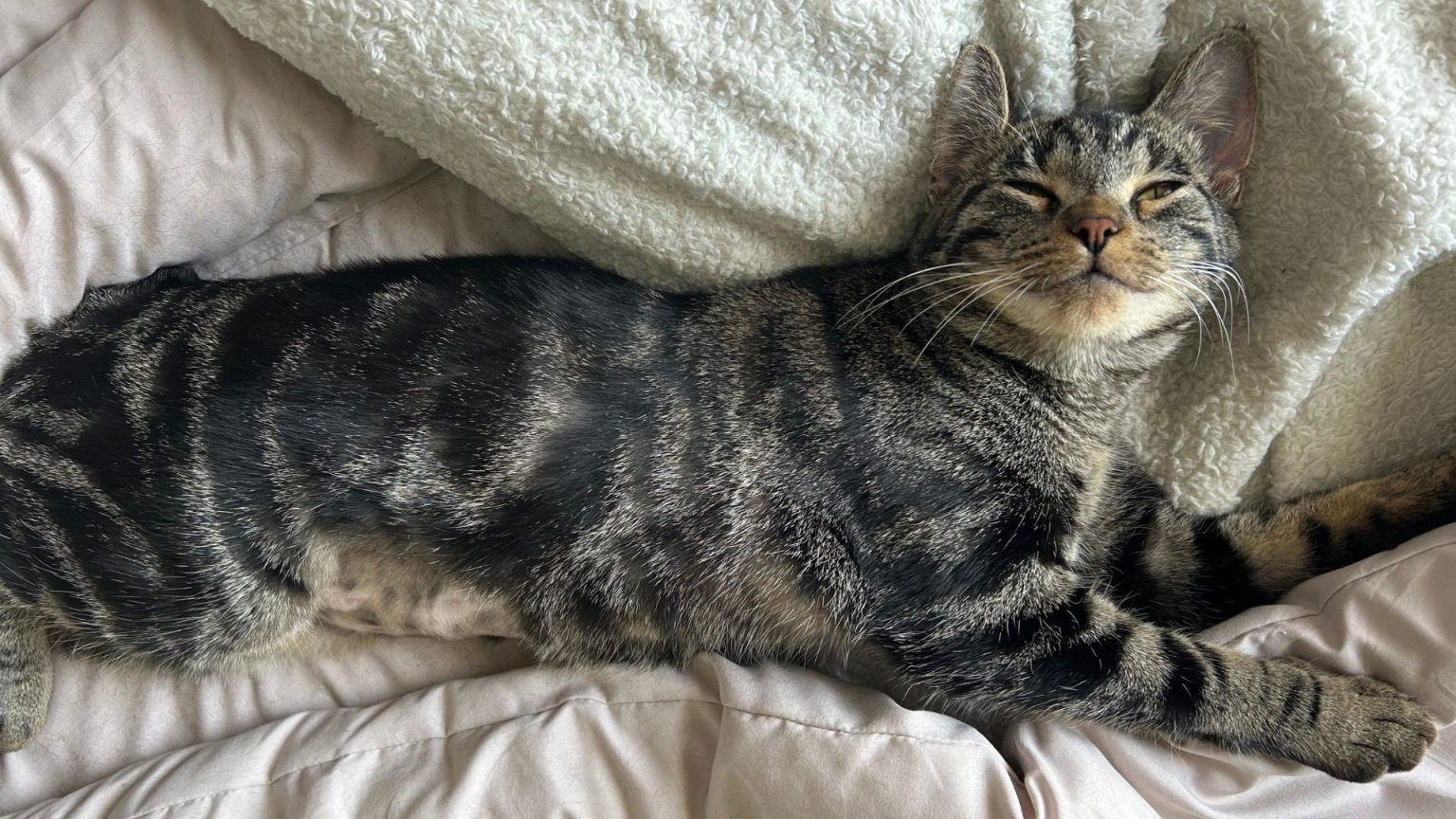 Employee Spotlight: Get to know Sydney Smith! - Capital Steel